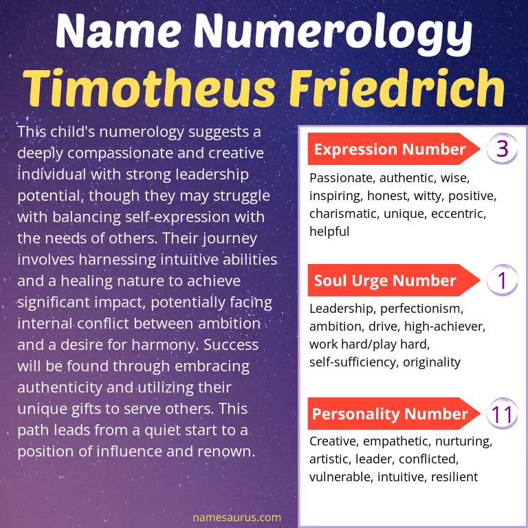 Timotheus Friedrich’s Numerology: In-Depth Insights