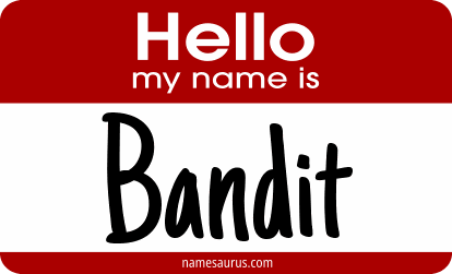 Unveiling Bandit: Meaning, Origin, Nicknames, Popularity & More
