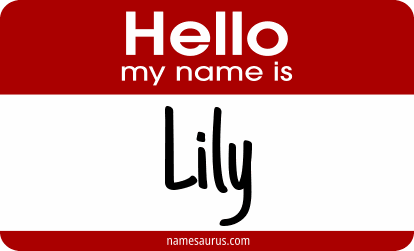 Unveiling Lily: Meaning, Origin, Nicknames, Popularity & More