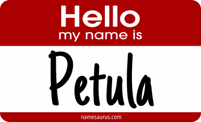 Unveiling Petula: Meaning, Origin, Nicknames, Popularity & More
