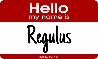 Unveiling Regulus: Meaning, Origin, Nicknames, Popularity & More
