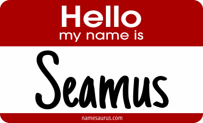 Unveiling Seamus: Meaning, Origin, Nicknames, Popularity & More