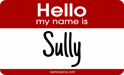 Unveiling Sully: Meaning, Origin, Nicknames, Popularity & More